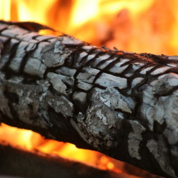 THE ART OF CHARRING: HOW OAK BARREL CHARRING IMPACTS WHISKY FLAVOR ...