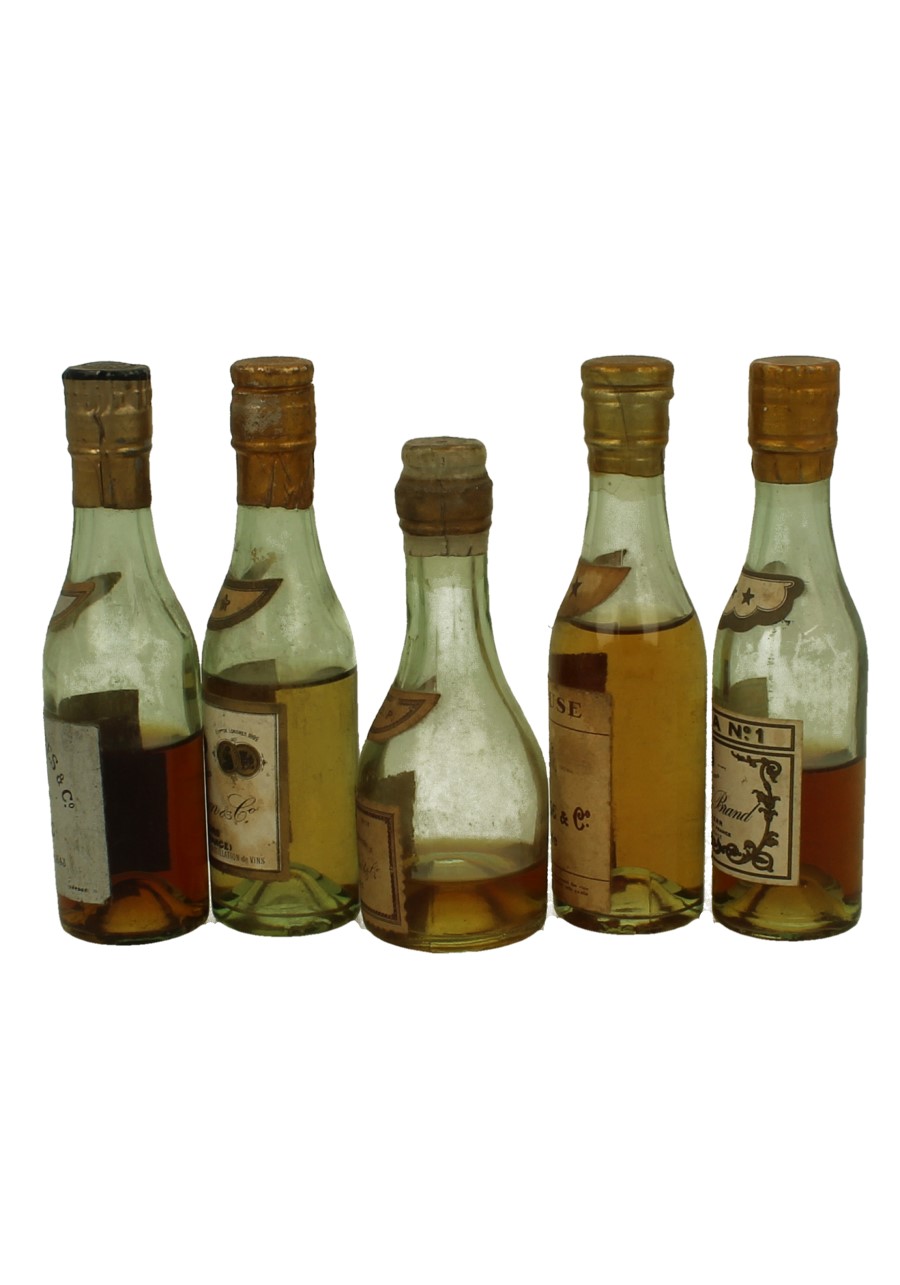Cognacs miniature 5x 3cl or 5cl 40% OB - Products - Whisky Antique ...