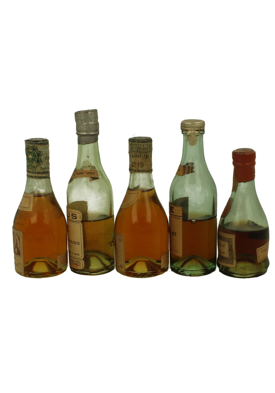 Cognacs miniature 5x 3cl or 5cl 40% OB - Products - Whisky Antique ...